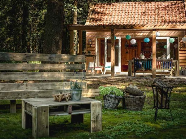Nature Escape | Quiet Hotel Rooms Near Forest And Wildlife - 3 Units - Ermelo