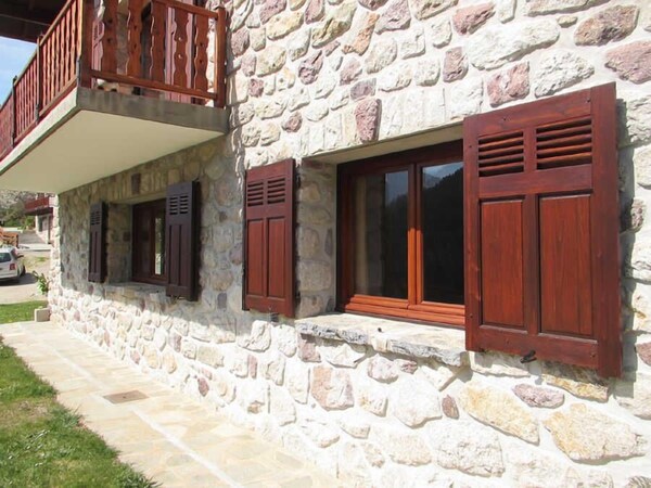 Chalet Saint Michel - Saint-martin-vesubie - La Colmiane