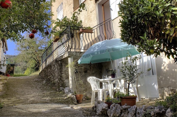 L'oranger - Pegomas - Gîte - Mandelieu-la-Napoule