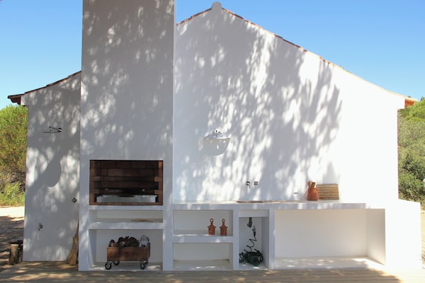 Beautiful Country Home In Pine Nut Farm - Odemira