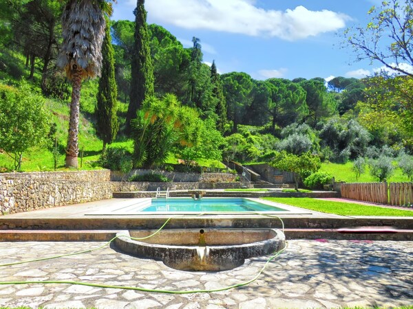 Homerez - Maison, Porto De Mós. - Batalha