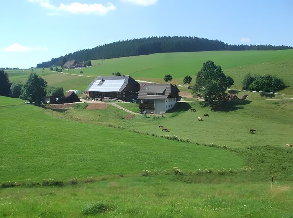 Ferienwohnung 'Lothar, 80qm' Mit Gemeinschaftsgarten, Balkon Und Wi-fi - Furtwangen im Schwarzwald
