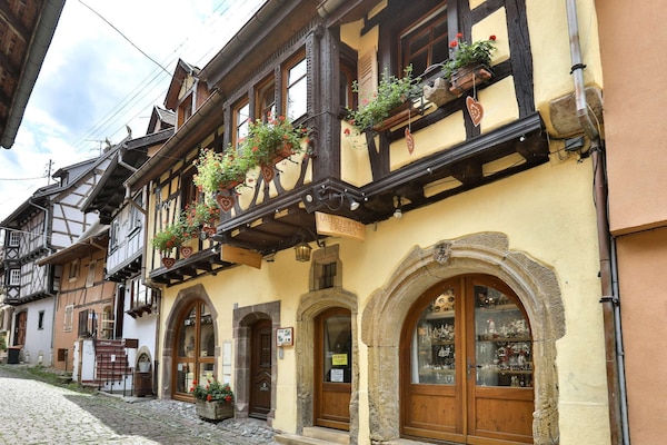 3 Châteaux Duplex Gite - Village Centre - Turckheim