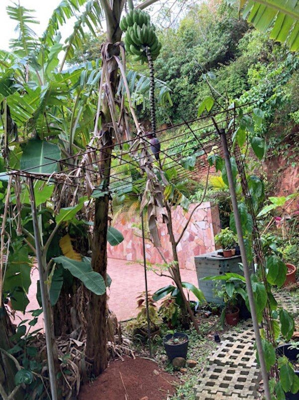 Homerez - House With Sea View In Le Marin - Martinique