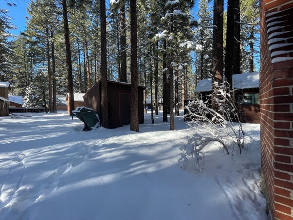 Great Forest Cabin With Fast Wifi In Charming Convenient Historic Neighborhood. - South Lake Tahoe, CA