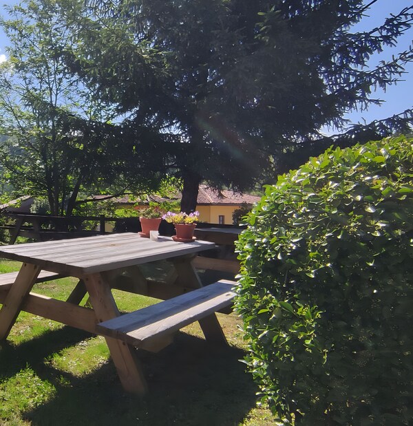 Apartment 'Florenta A1' With Mountain View, Private Terrace And Wi-fi - Cangas de Onís