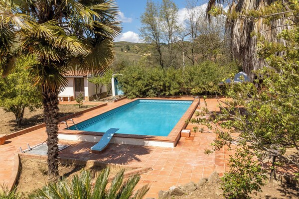 Villa Falcone, Piazza Armerina, Italy - 恩納