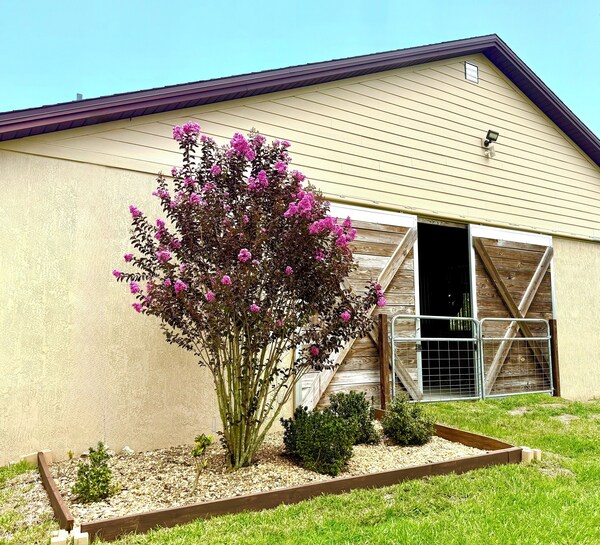 Equestrian Escape In Mount Dora, Fl - Apopka, FL