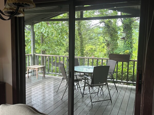 Charming & Relaxing 1-bedroom Unit With Mountain Views In Beautiful Waynesville - Waynesville, NC