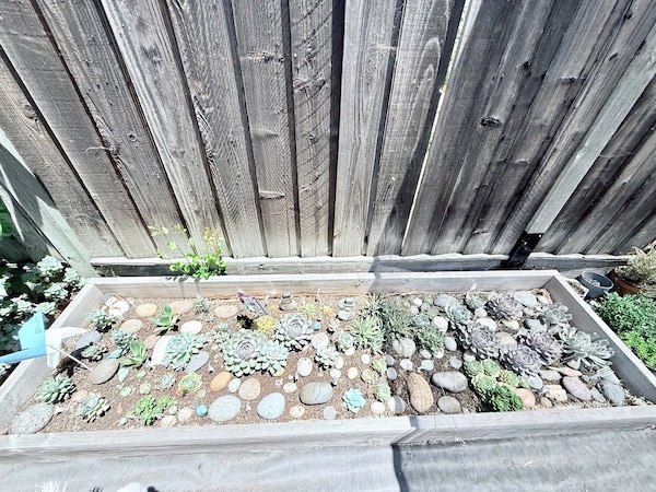 Charming 3-bedroom House Surrounded By A Beautiful Succulent Garden! - San Jose, CA