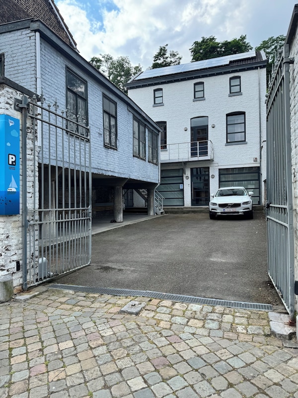 Loft Spacieux, Parking Privé, Cour Et Terrasse. Animaux De Compagnie Acceptés ! - Liège
