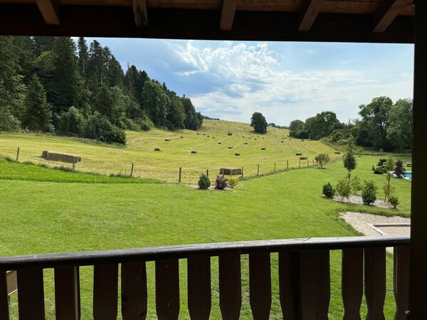Chalet With Superb Lake View - Saint-Laurent-en-Grandvaux