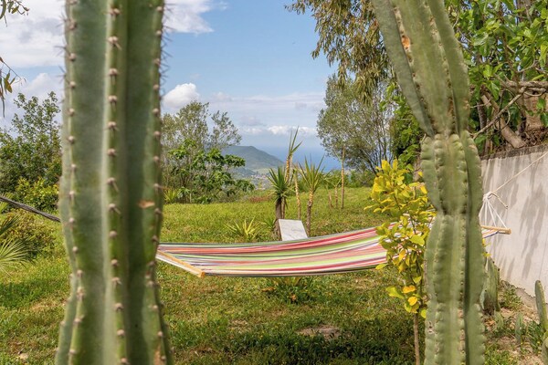 Panoramic Villa Surrounded By Greenery, 4 Rooms: Private Bathroom, Air Conditioning And Tv. - Castellabate