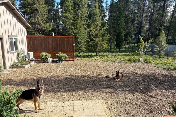 Cozy Forest Retreat Near Trails, Slopes & Sunriverperfect For Year-round Fun! - LaPine State Park, La Pine