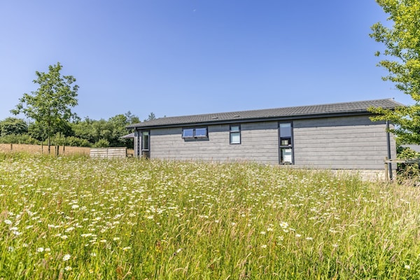 Poppy, 5 Roadford Lakes Lodges  -  A Lodge That Sleeps 4 Guests  In 2 Bedrooms - Devon