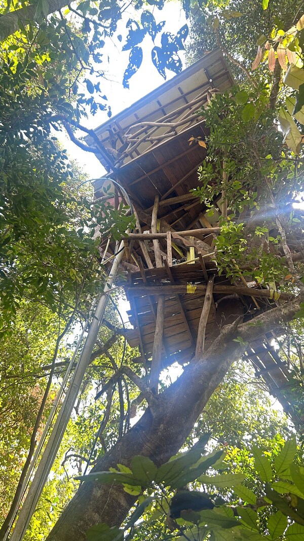 Treedom Treehouse Eco-restoration Getaway In The Jungles Of South India - 果達古縣