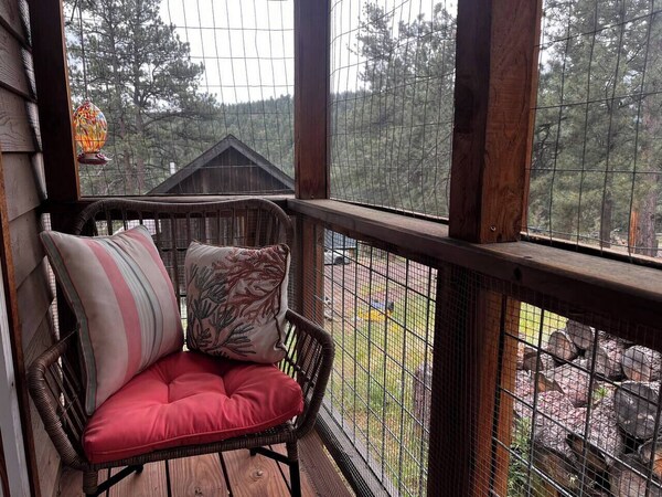 Waterfall, Tanning Patio, Fireplace, Hammock, Full Kitchen - Idaho Springs, CO