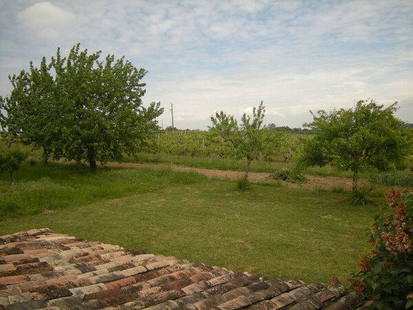 Les Lilas - Rimons - Gîte - Roquebrune