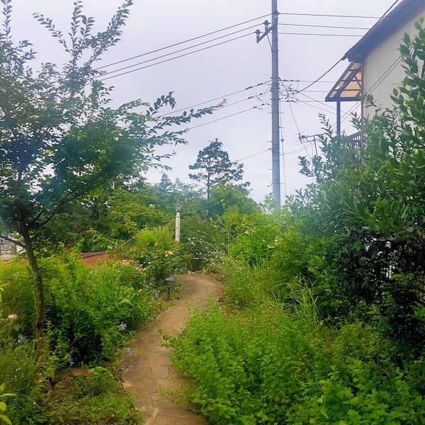 1 The Rooms Are On The First Floor Of A Single-family House. The Villa Is Available For Private Rental For Up To 6 Persons Per Group. - 유가와라마치