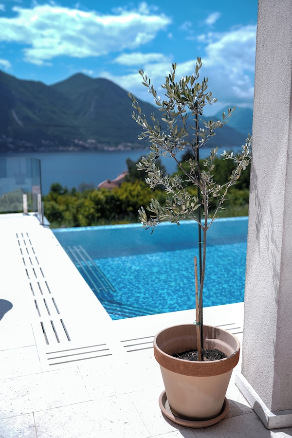 Villa With Infinity Pool And Views Of The Sea And The Bay Of Kotor - Kotor
