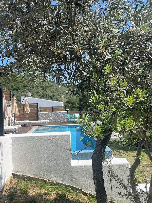Allure Luxury Villa With Private Pool Surrounded By Pine And Olive Trees - Skiathos
