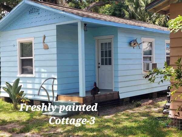 Modern 1926 Cottage Downtown Daytona Beach - Pet Friendly - Ormond Beach, FL