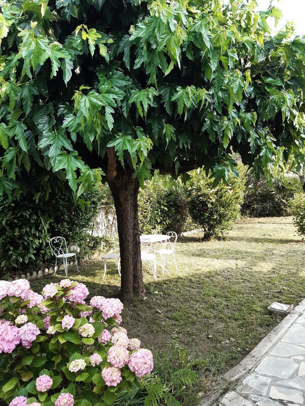 Maison De Ville Avec Jardin, Proche Abbaye Aux Dames. - Saintes