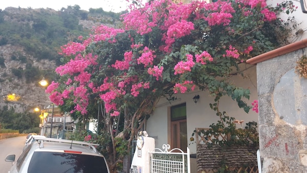 Casa Aurora In Villa Grace Amalfi - Amalfi