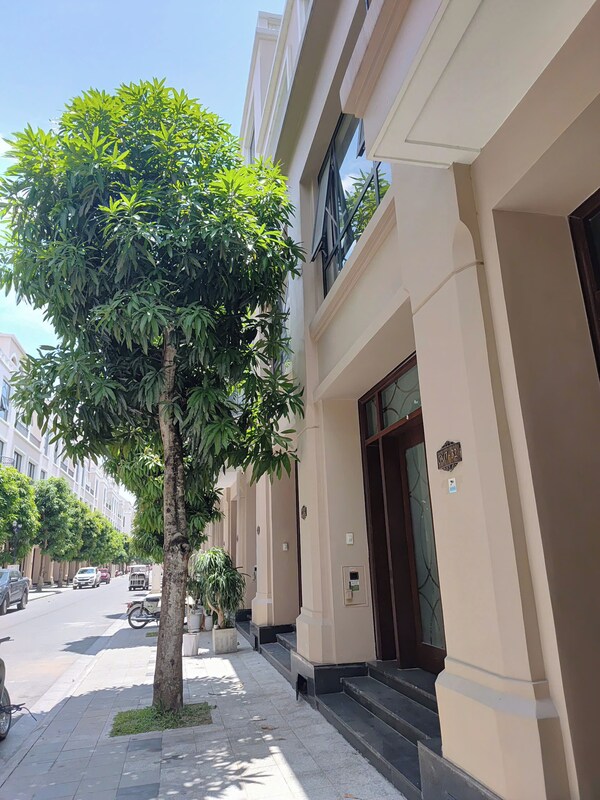 Spacious Story Home  Family & Group Stay | Ocean Park 2 - tt. Như Quỳnh