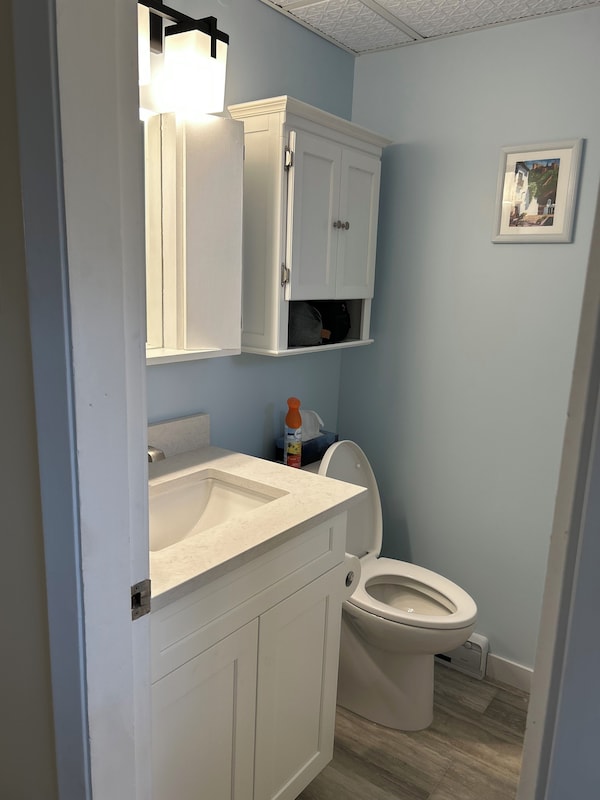 Lakefront 1st Floor Apartment - Cozy, Well Stocked, Newly Renovated 1 Bdrm Suite - Osoyoos
