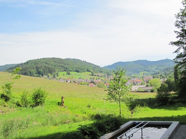 Ferienhaus 'Alte Schmiede Ferienhaus Dorfbach' Mit Gemeinsamer Terrasse, Garten Und Wi-fi - Lahr/Schwarzwald