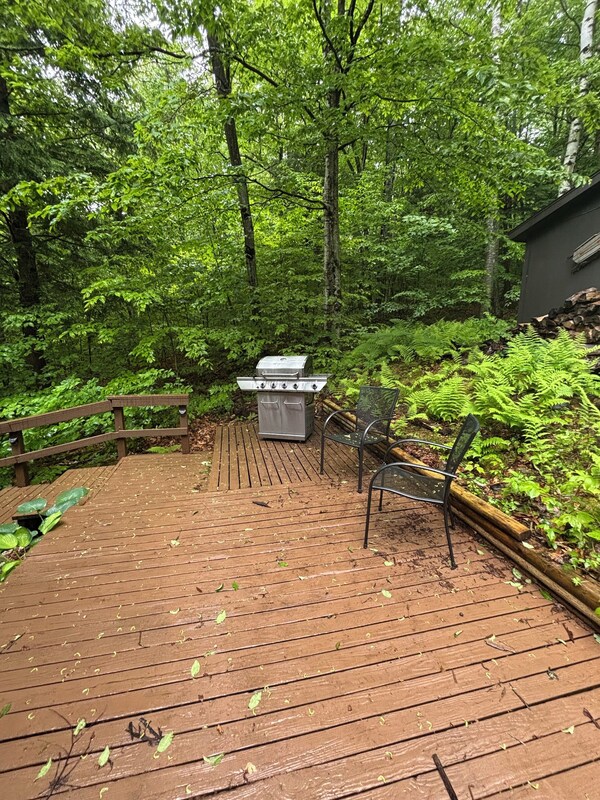 Delightful 3-bedroom House With Wi-fi In Charming Campton - Campton, NH