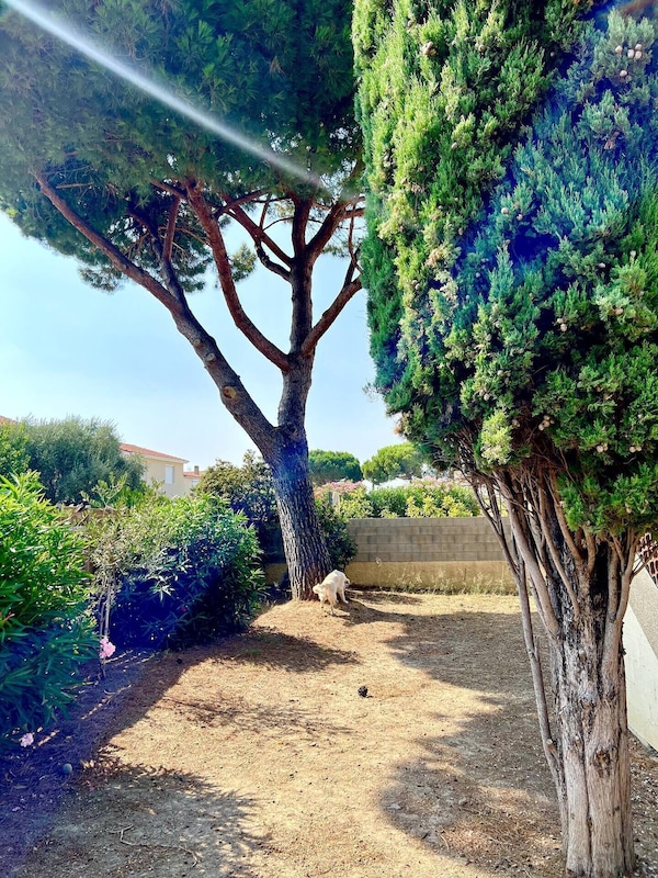 Magnificent 45m2 Apartment In Renovated Villa - Palavas-les-Flots