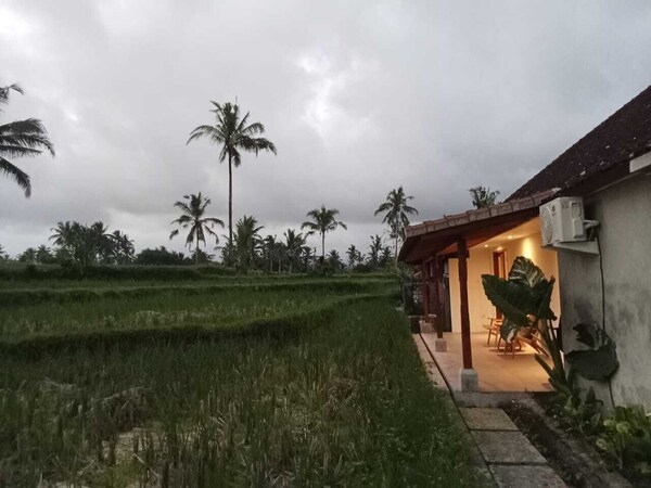 Rumah Kemuning Bali - Bali