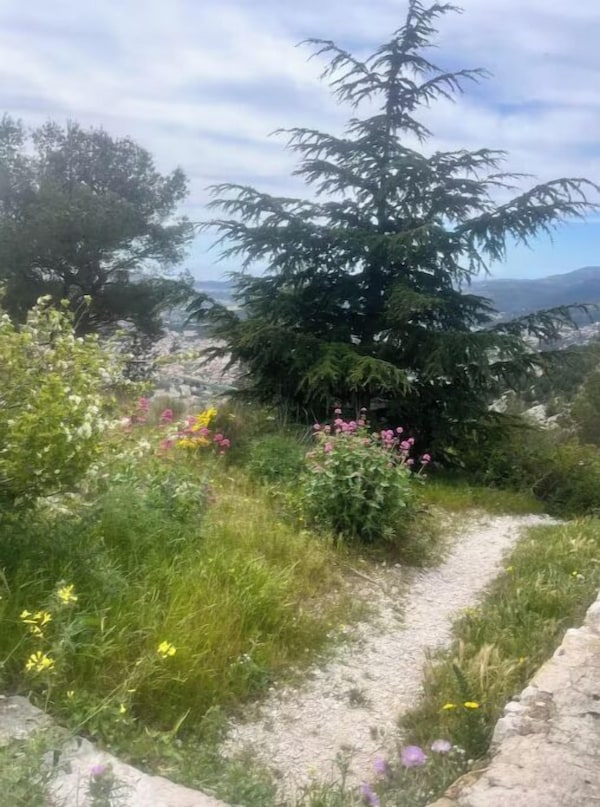 T2 Cocooning Toulon Center-4 Persons - Toulon