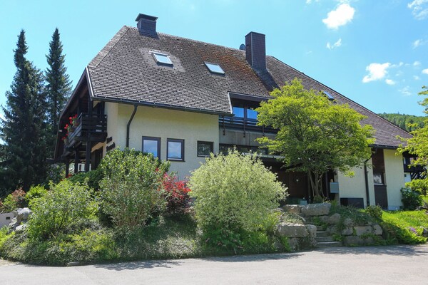 Studio '1 Mit Balkon' Mit Gemeinsamer Terrasse, Gemeinsamem Garten Und Wi-fi - Bernau im Schwarzwald