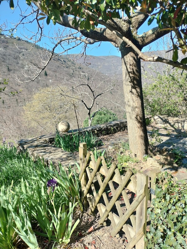Maison De Vacances 'La Maisonnette' Avec Vue Sur La Montagne - Villefort