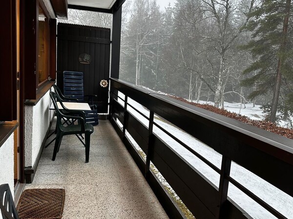 Apartment Type Ii - A01 - Apartment House Birkenwald - Seefeld in Tirol