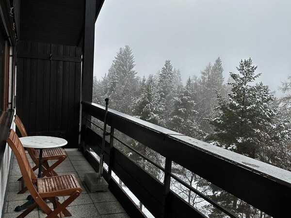 Appartement Typ Ii - A50 - Appartementhaus Birkenwald - Seefeld