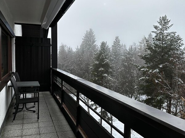 Apartment Type Ii - A41 - Apartment House Birkenwald - Seefeld in Tirol