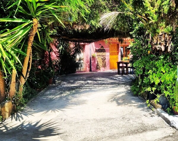 Il Giardino, Enjoy Nature Among Olive Trees Near Cagliari/elmas - Sardaigne