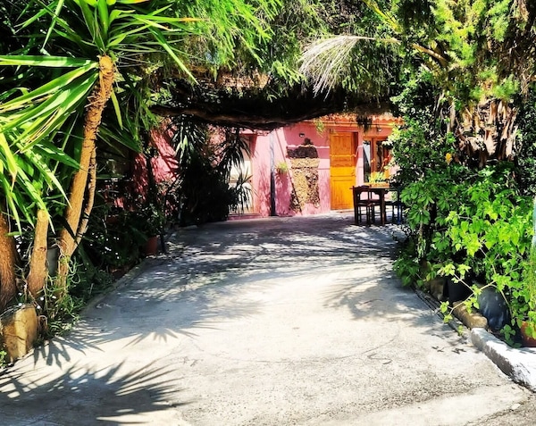 Il Giardino, Enjoy Nature Among Olive Trees Near Cagliari/elmas - Sardaigne