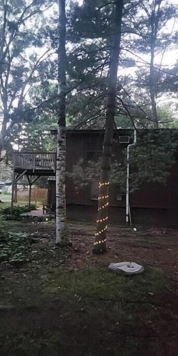 Charming 1-bedroom House With Ac And Wi-fi Near Hayward - Hayward, WI
