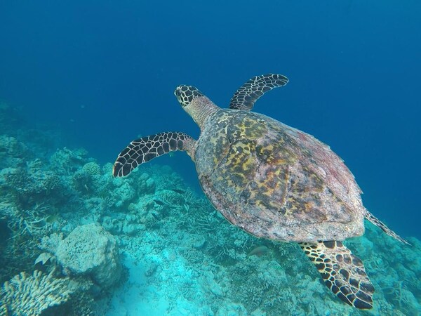 Book Like A Millionaire, Your Summer Camp Island- Your Private Island Inparadise - Maldives