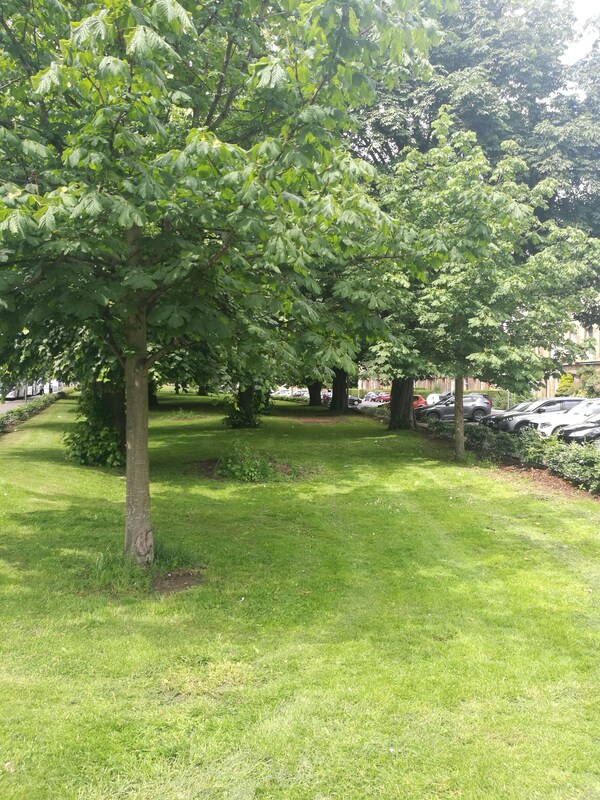 Lovely One Bedroom Apartment, Walking Distance To Many Festival Venues! - East Lothian