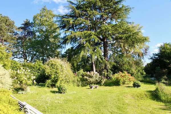 Le Gîte Du Manoir Situé Dans Le Parc, Au Centre Du Village - Val-d'Oise