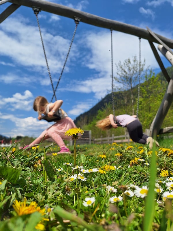 Mountain Lodge - Flachau