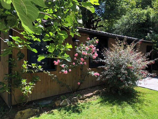 Independent Studio + Garden. 5 Min Walk To Jardy, 15 Min To La Défense By Train. - Guyancourt