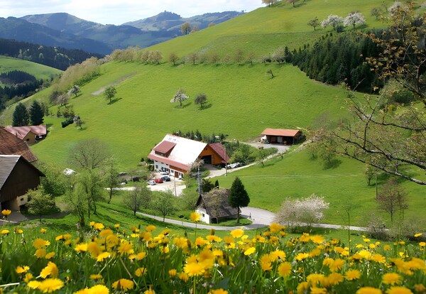 Studio 'Rehblick' With Shared Garden And Wi-fi - Gengenbach