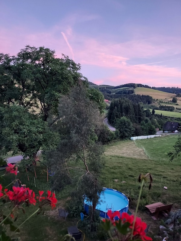 Ferienwohnung 'Schwalbennest' Mit Gemeinschaftsgarten Und Wi-fi - Hausach